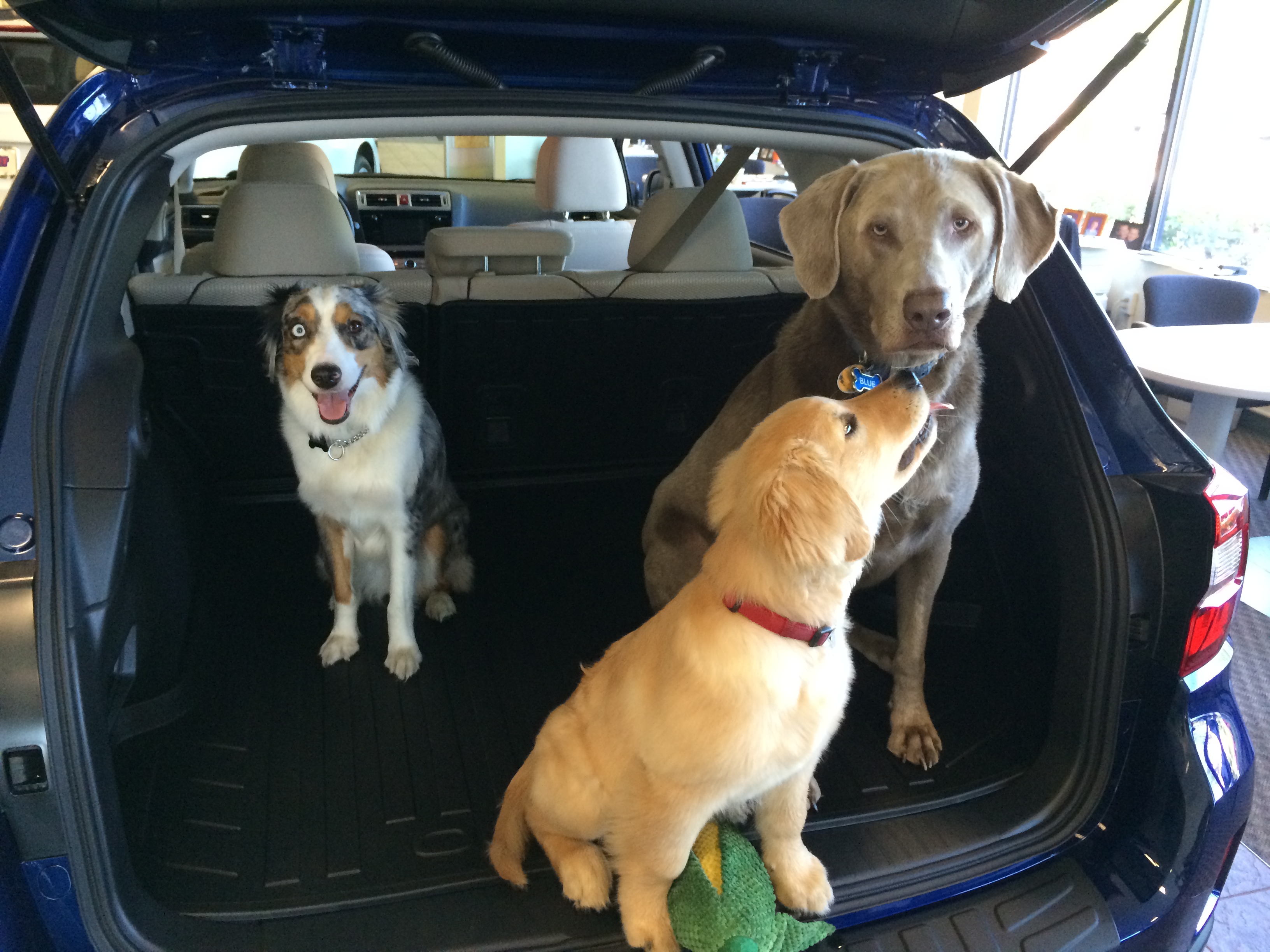 Planet Subaru in Hanover, MA | 54 Cars Available | Autotrader