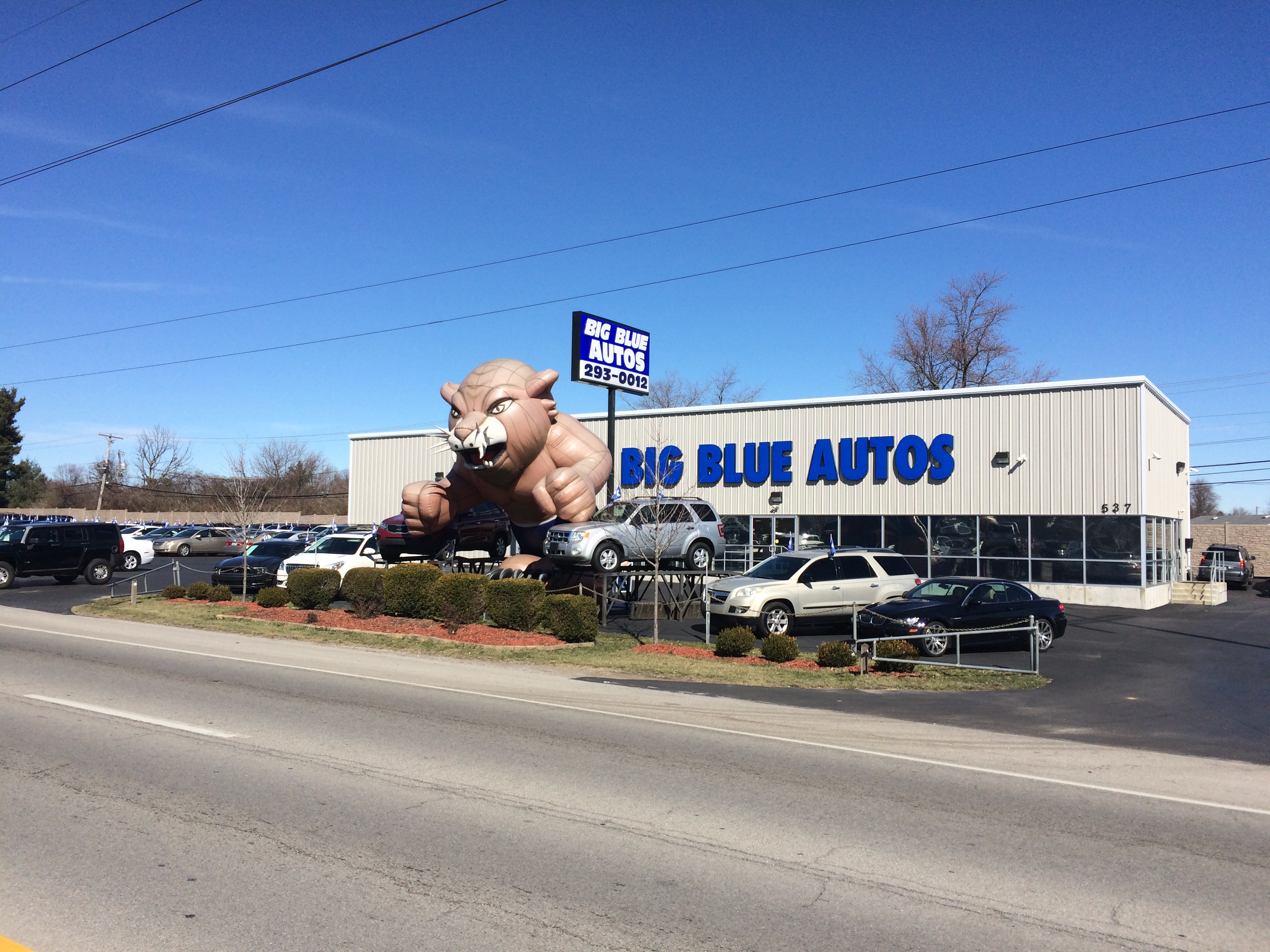 Big Blue Autos in Lexington, KY | 96 Cars Available | Autotrader