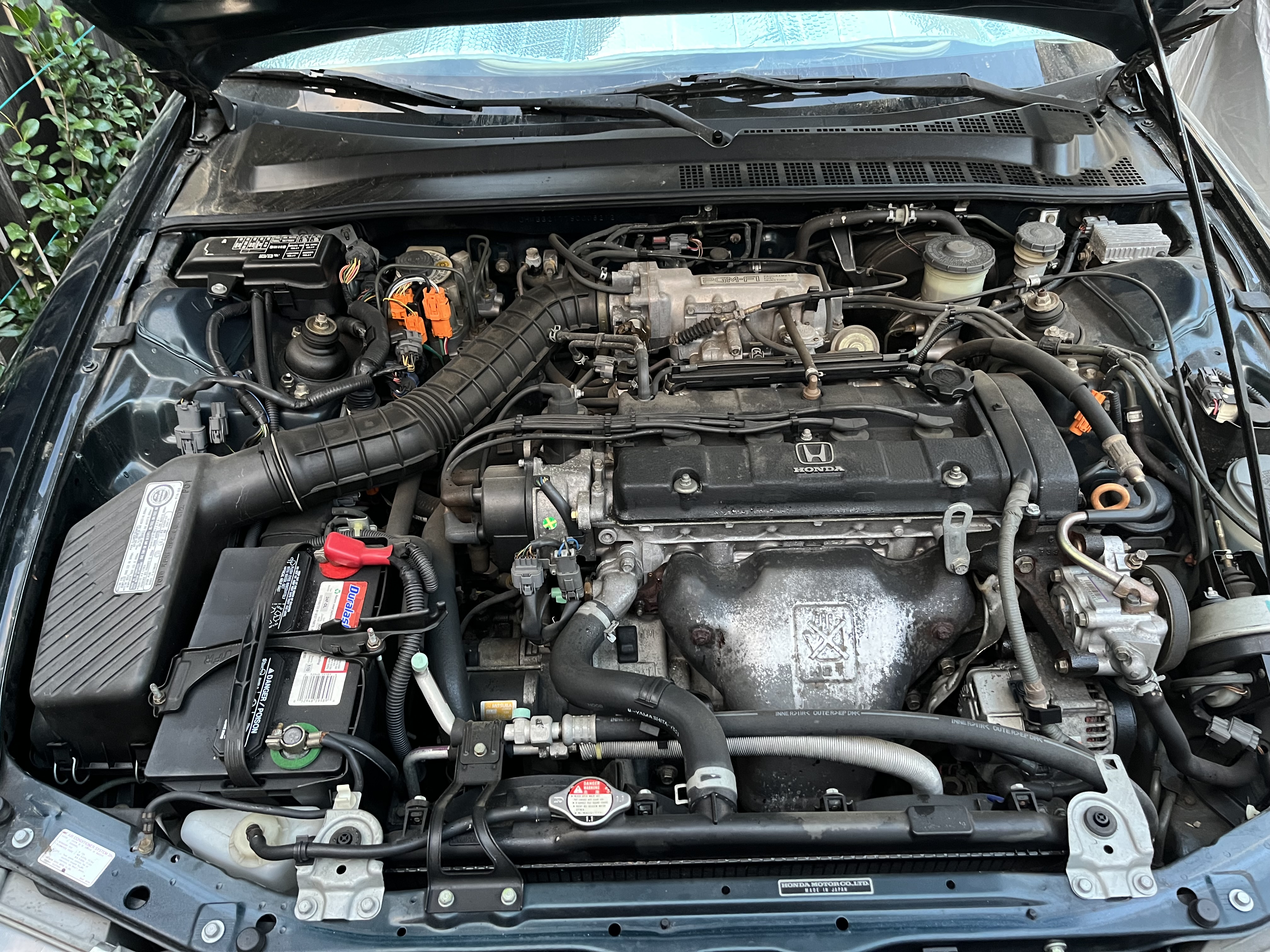1993 Honda Prelude Engine