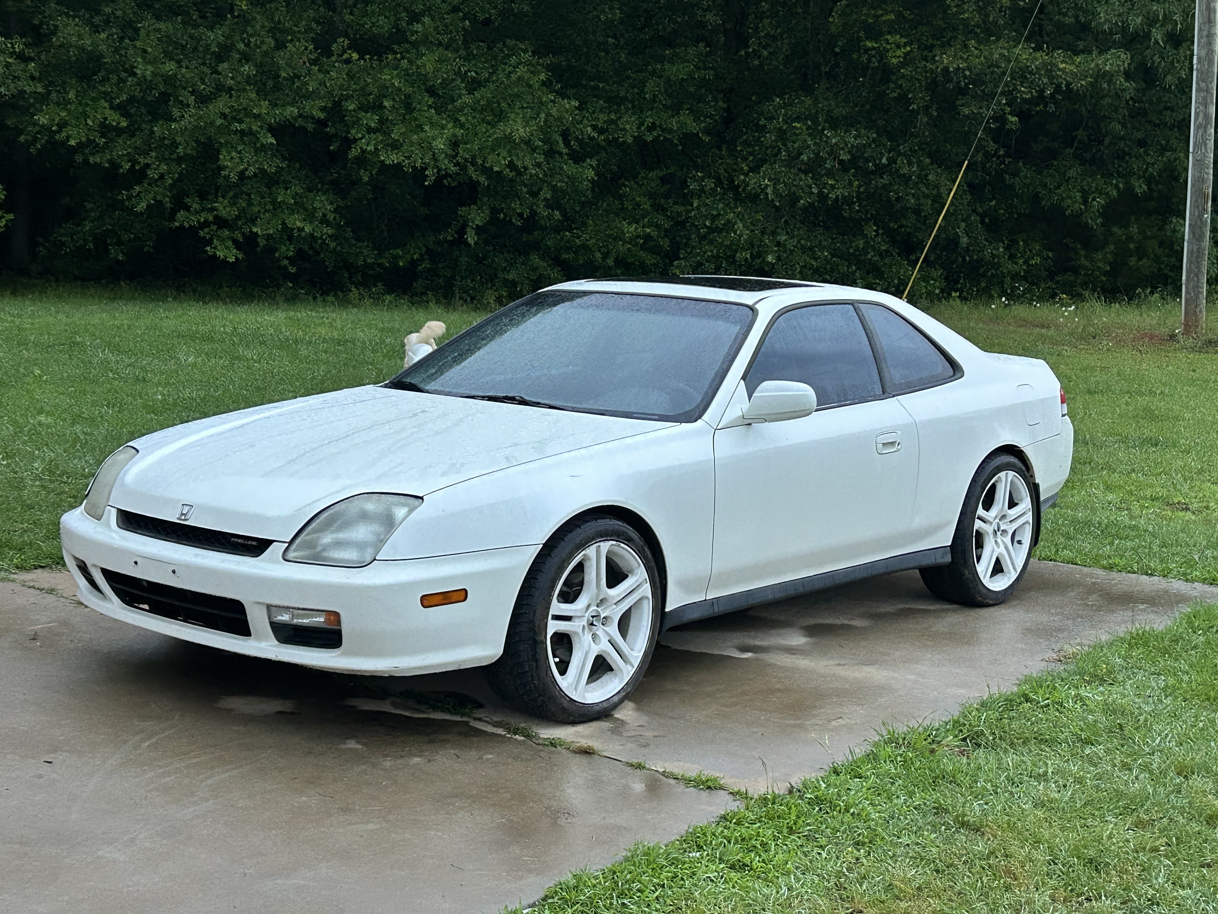 94 Honda Prelude Custom